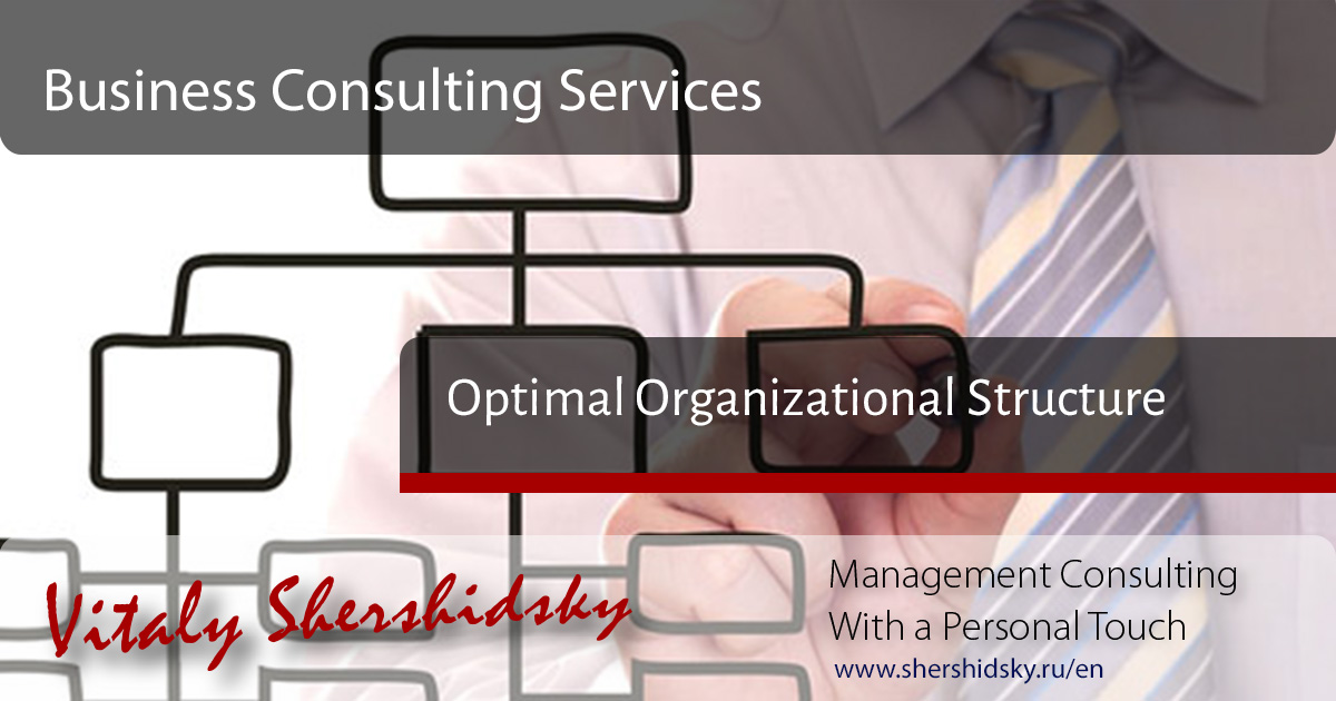 Optimal Organizational Structure • Business Consulting Services