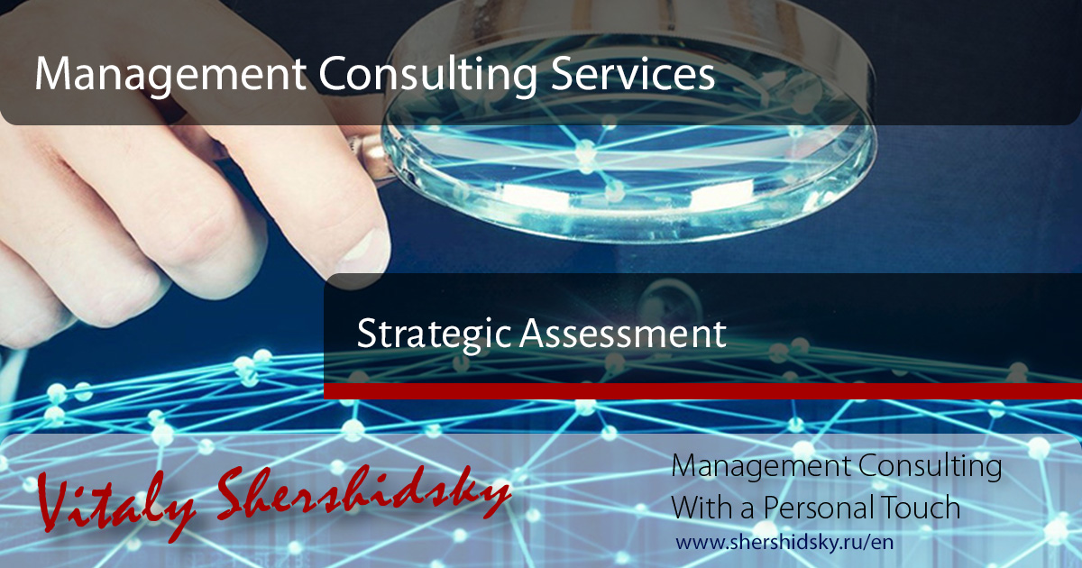 Strategic Assessment • Management Consulting Services